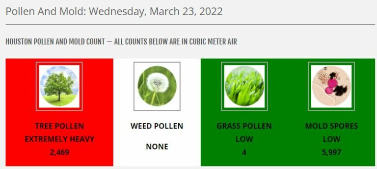 Houston’s pollen season bursts to life as spring takes hold across the ...
