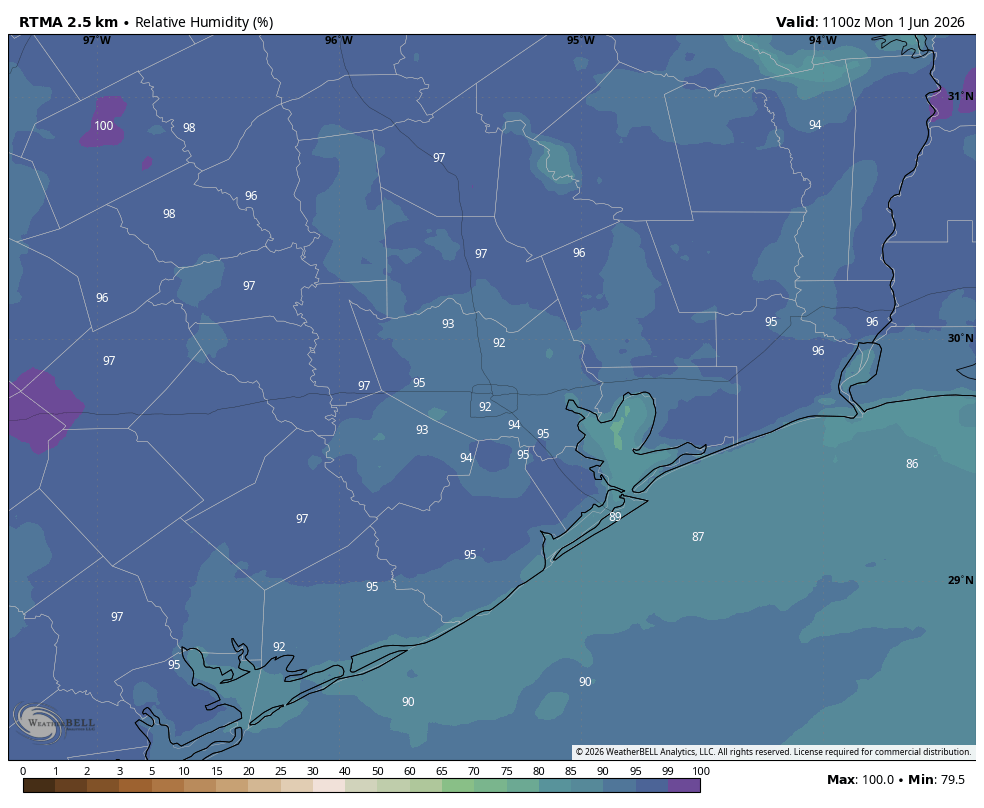 Some showers, some humidity, some heat: June starts out pretty much ...